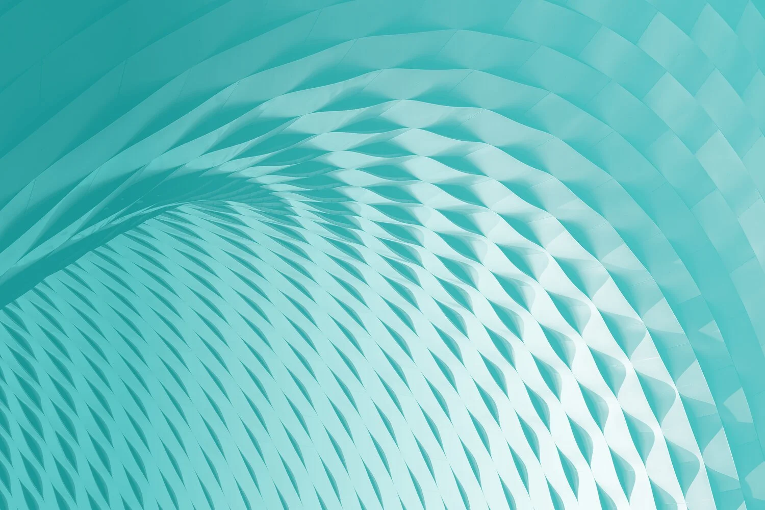 Primavera Training — PMIS Ltd.