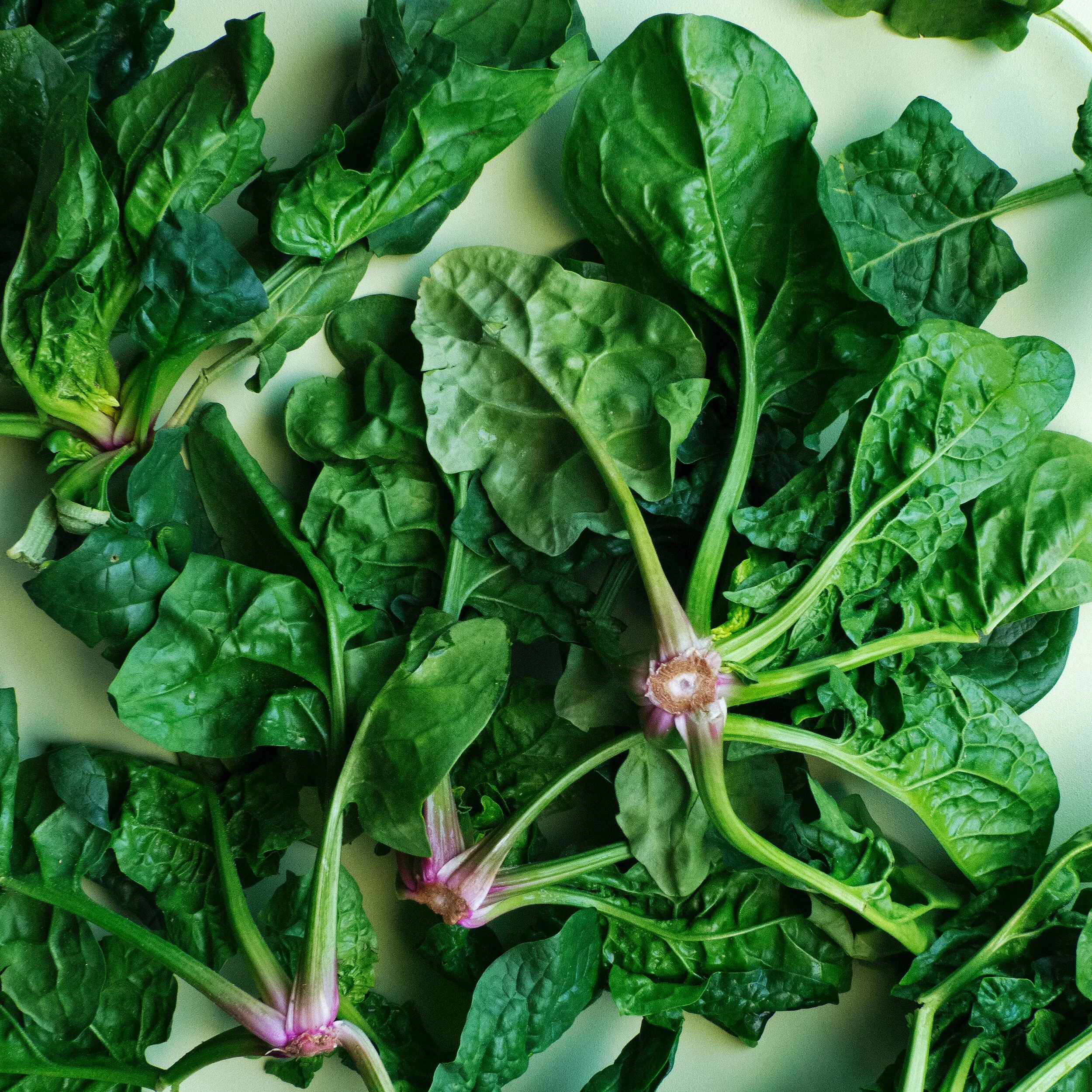 5 Ways To Eat Healthier Without Going On Wellness Bum 5-ways-to-eat-healthier-without-going-on-wellness-bum