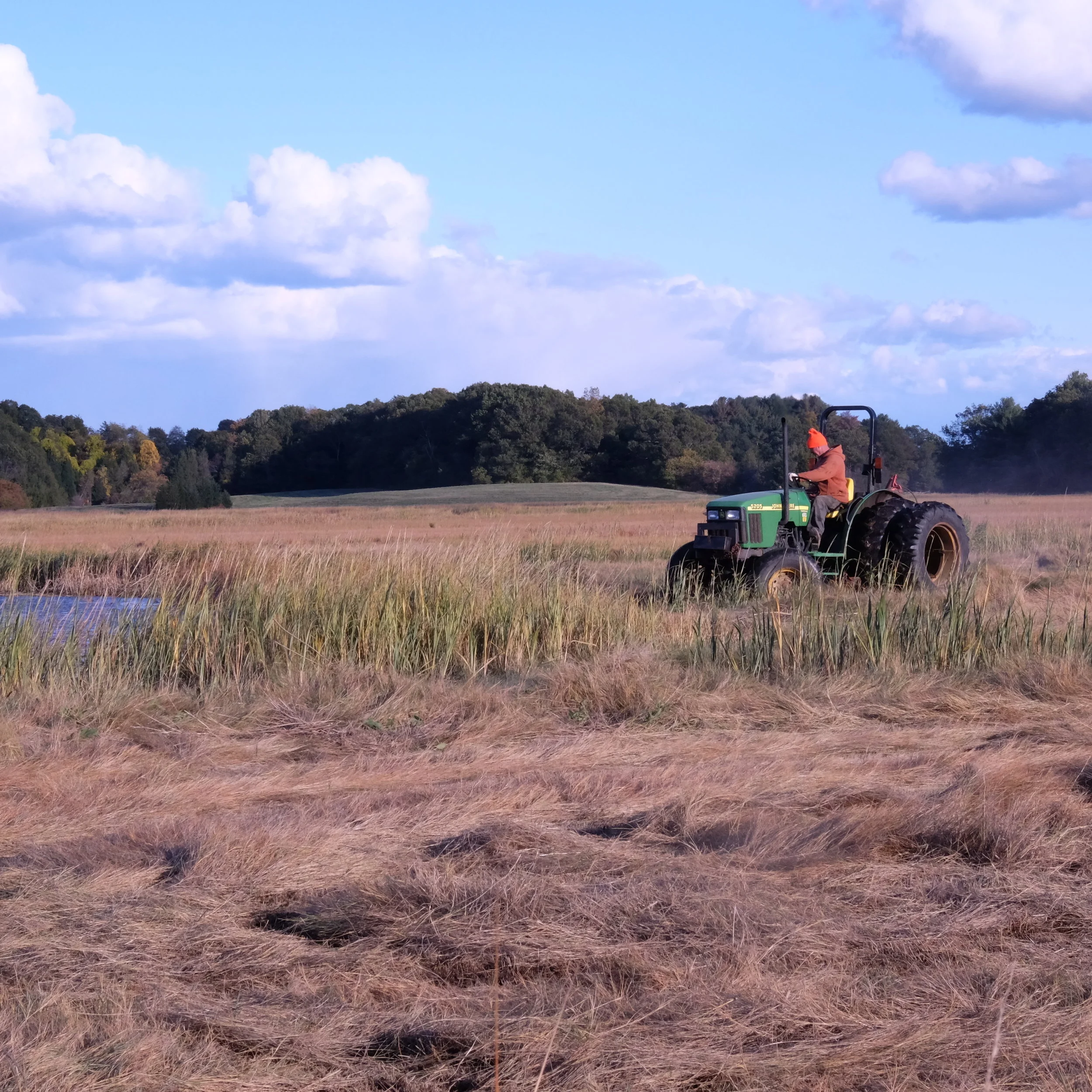Salt Hay — Colby Farm Salt Hay