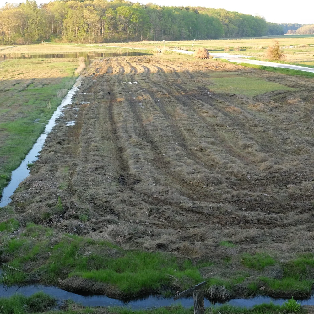 Salt Hay — Colby Farm Salt Hay