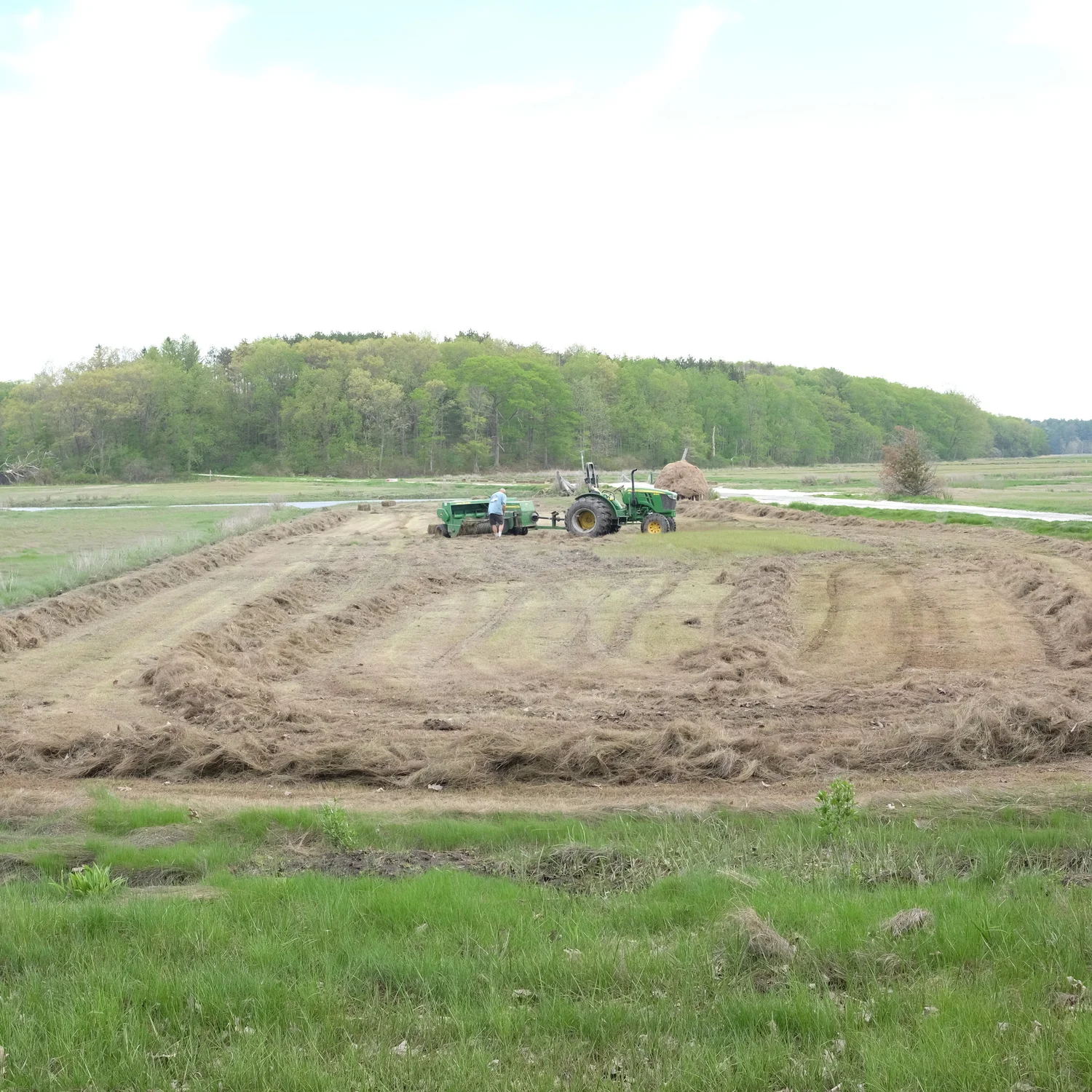 Salt Hay — Colby Farm Salt Hay