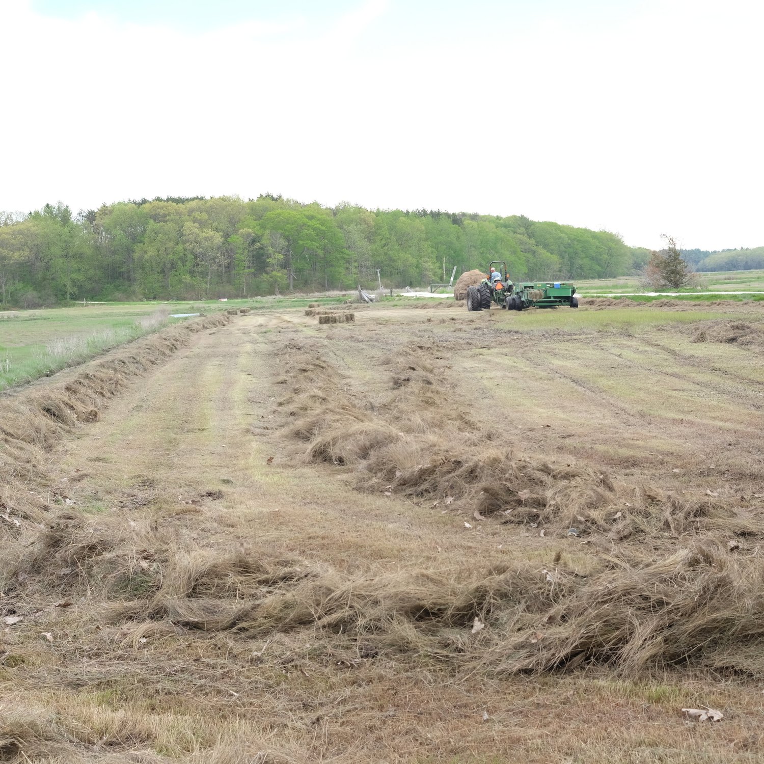 Salt Hay — Colby Farm Salt Hay