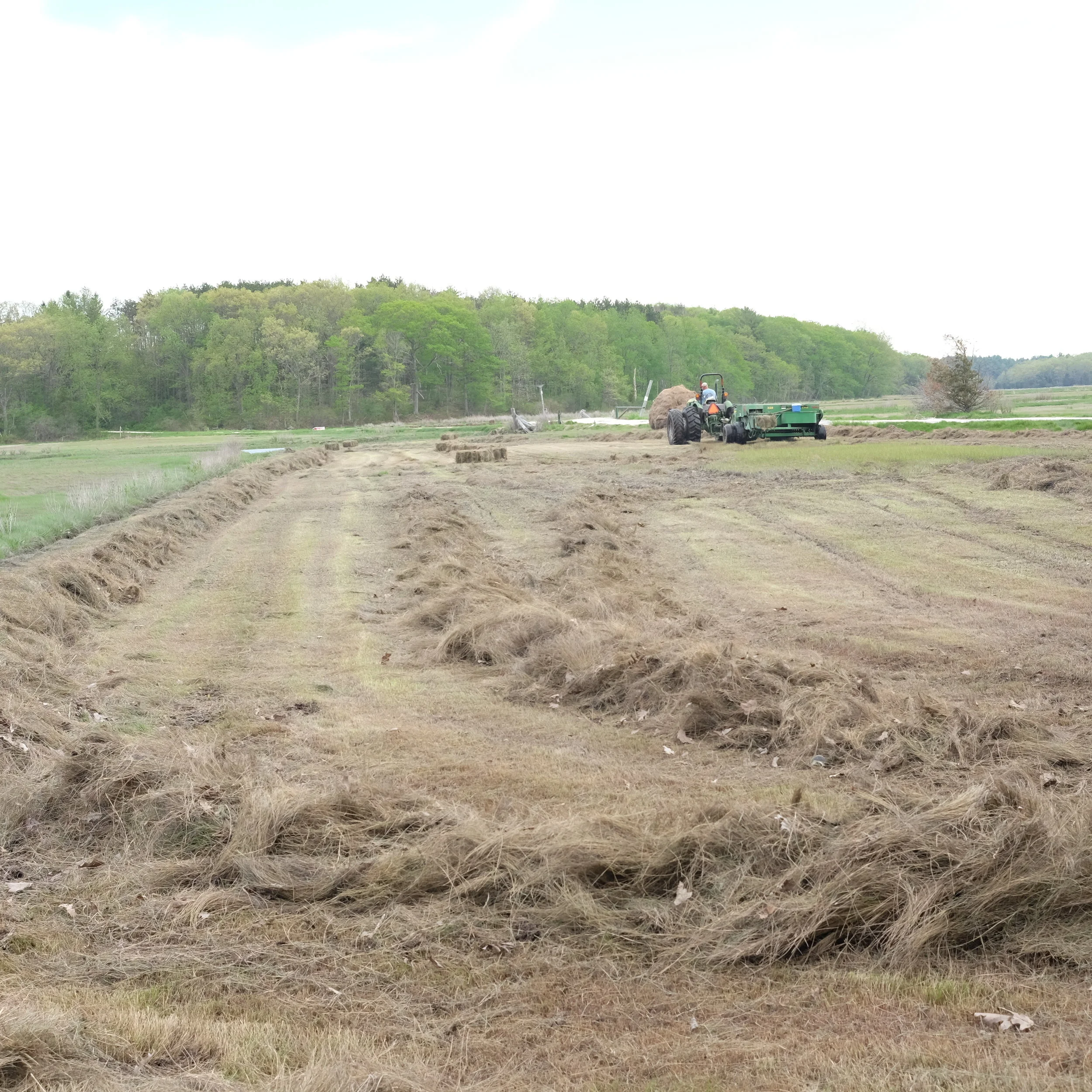 Salt Hay — Colby Farm Salt Hay