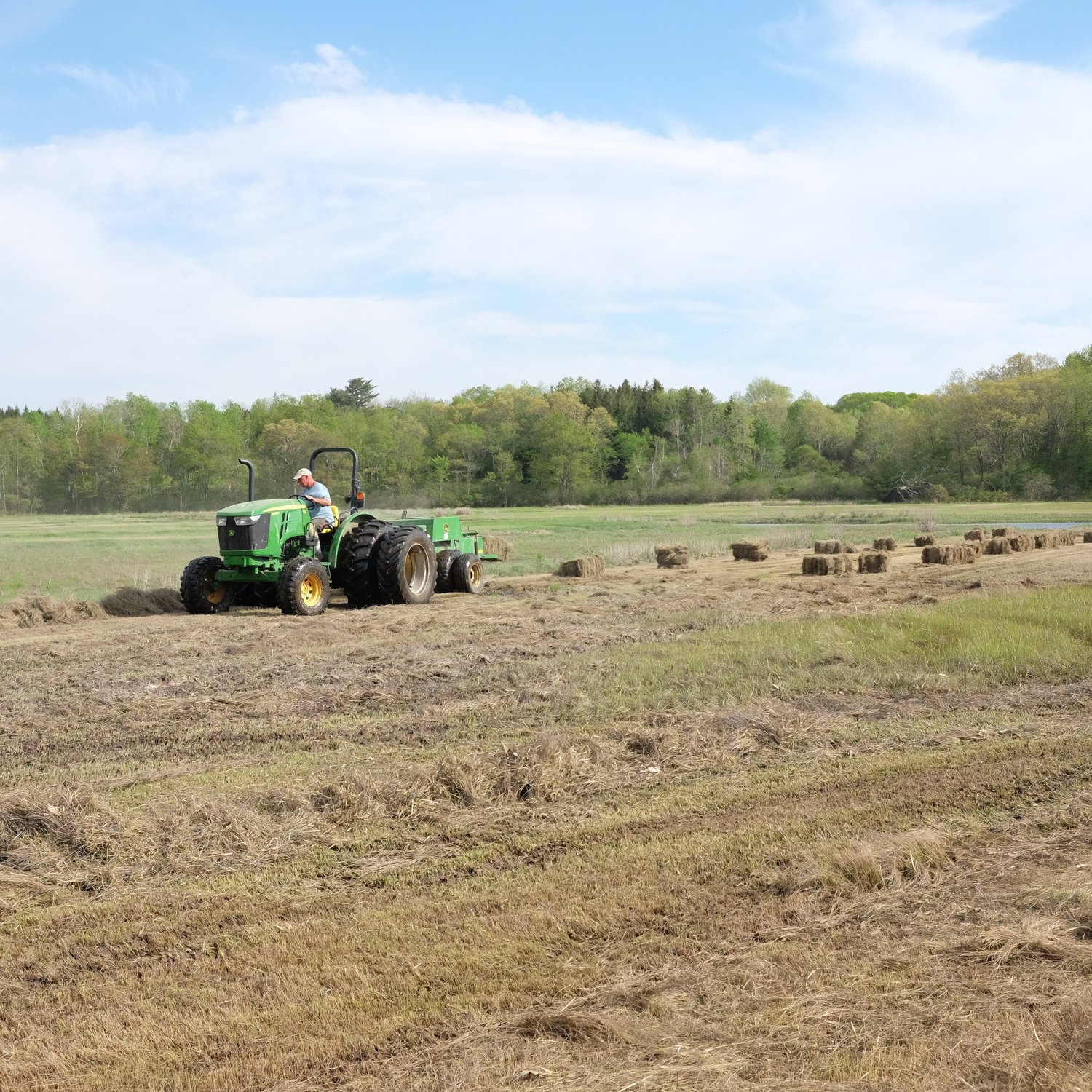 Salt Hay — Colby Farm Salt Hay