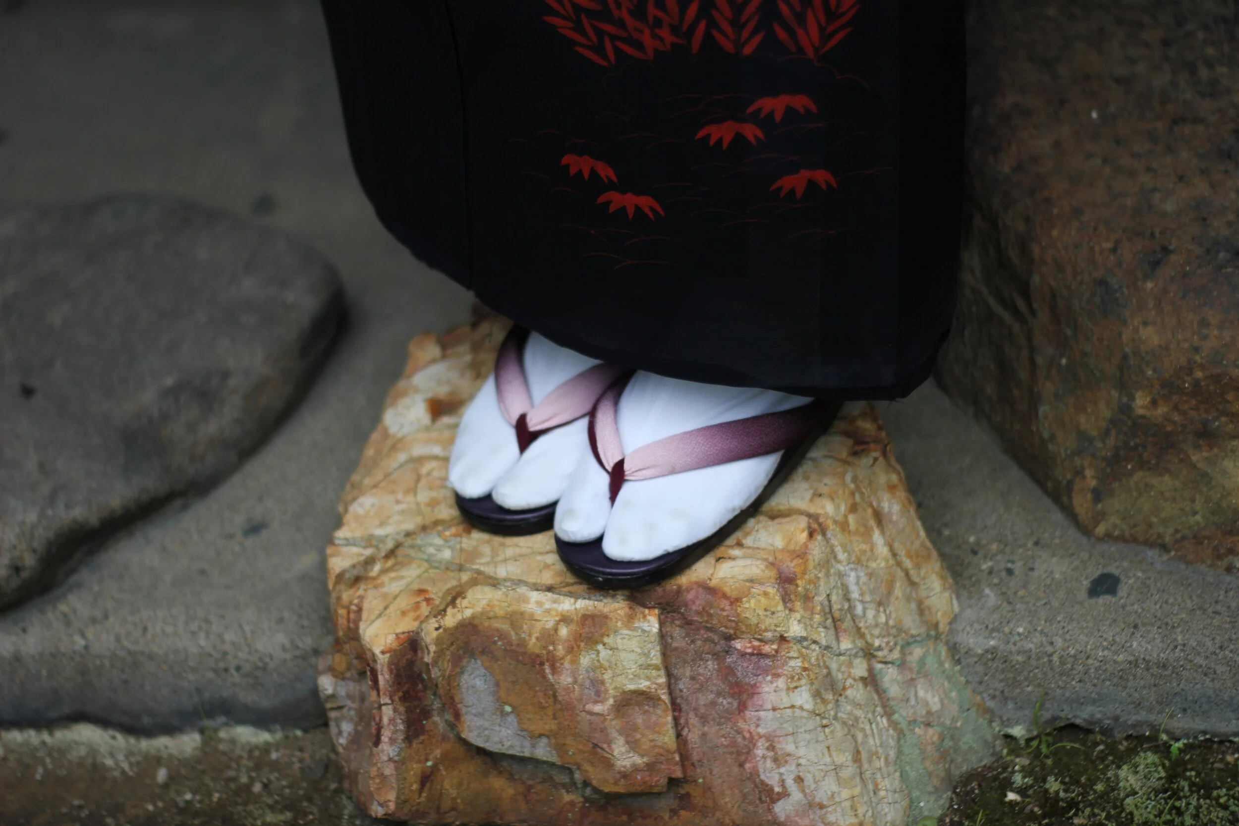 Authentic Kyoto Tea Ceremony