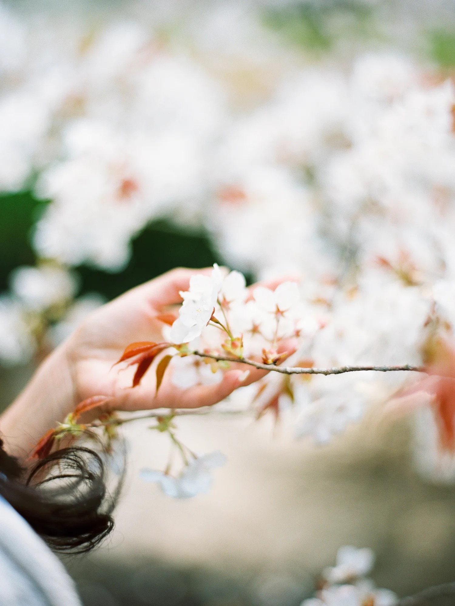 Artist Spotlight: Angga Permana — Indie Film Lab