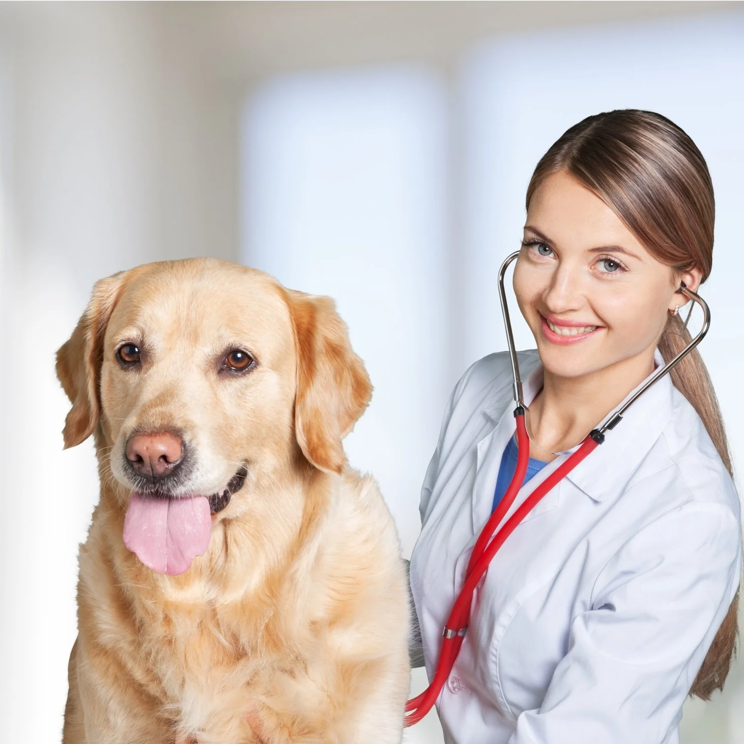 Companion Animal Partners, LLC