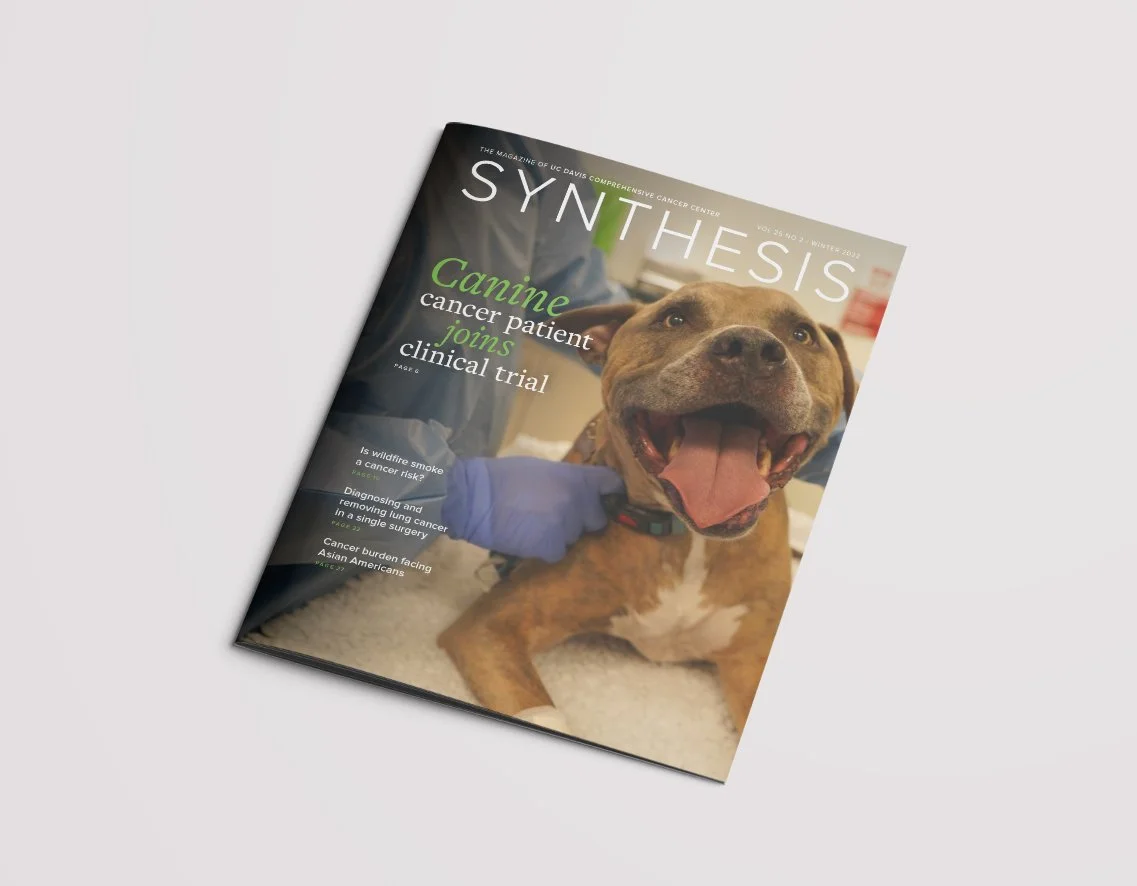 Synthesis Magazine Winter 2022 — Serena Evans
