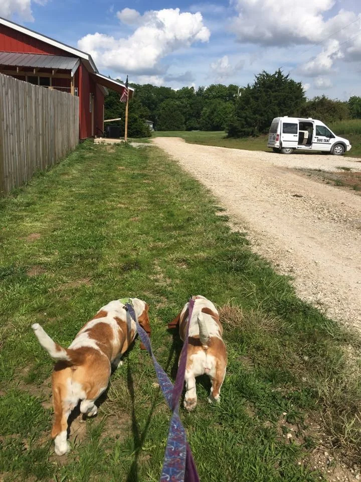 Happy Trails Kennel