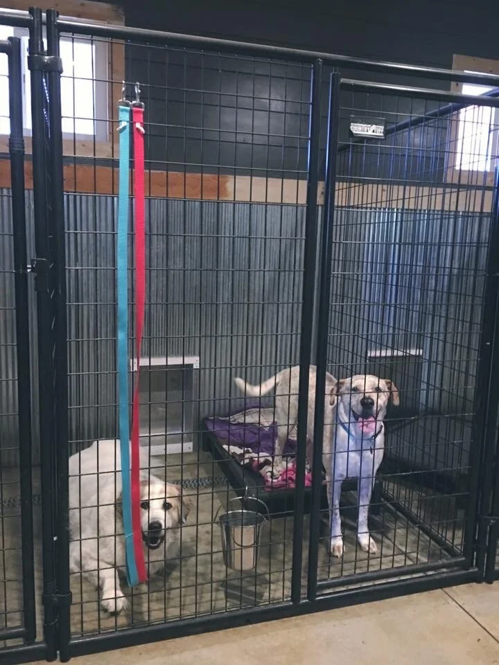 Gallery — Happy Trails Kennel