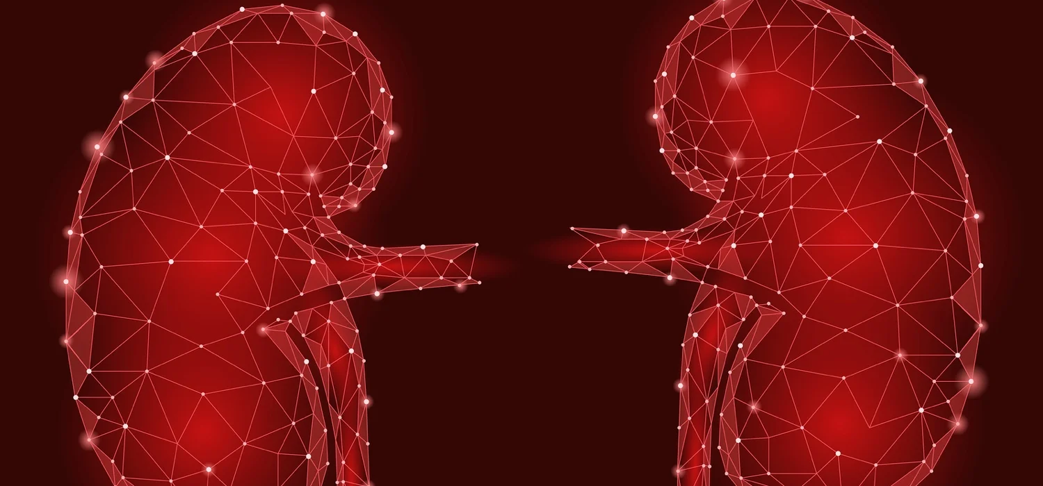 Kidney Filtration - Life or Death — Spirit of Health - Natural Health ...