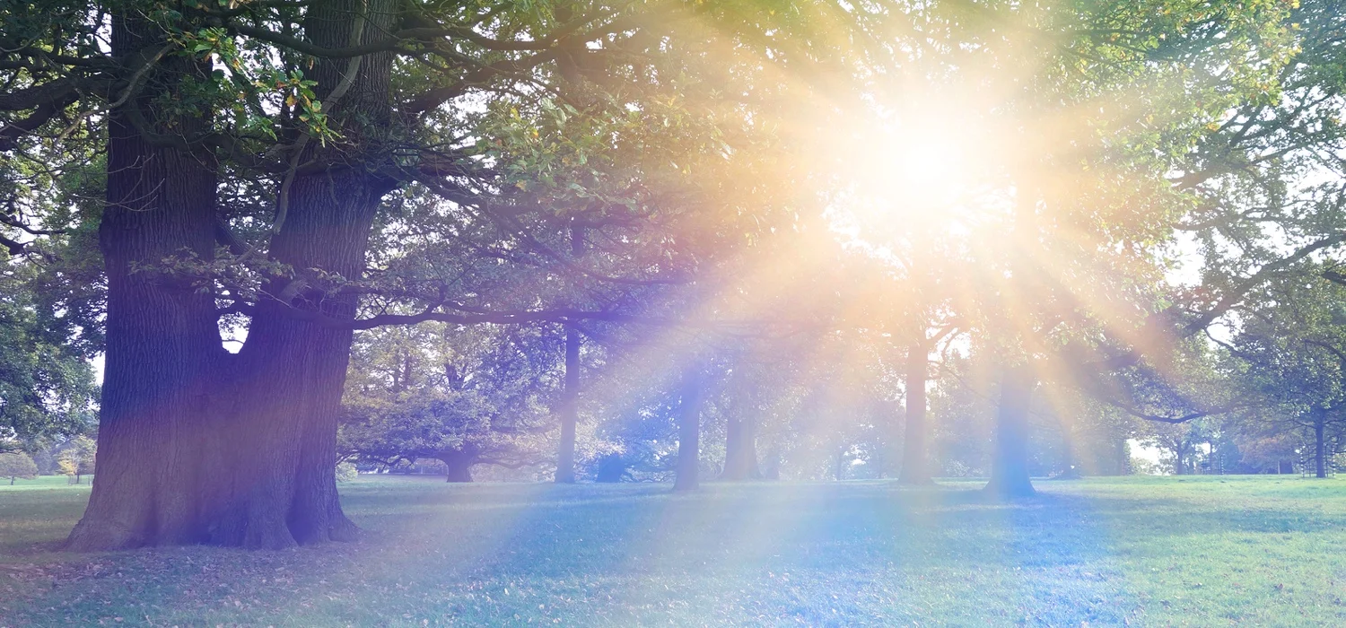 God is the Author of Life, Sunshine Part 3 - Light is Healing (Jesus ...