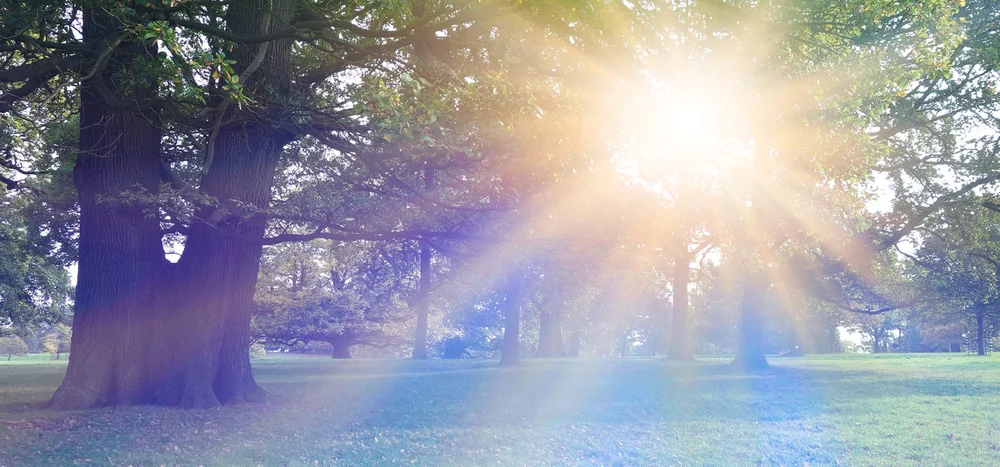 God is the Author of Life, Sunshine Part 3 - Light is Healing (Jesus ...