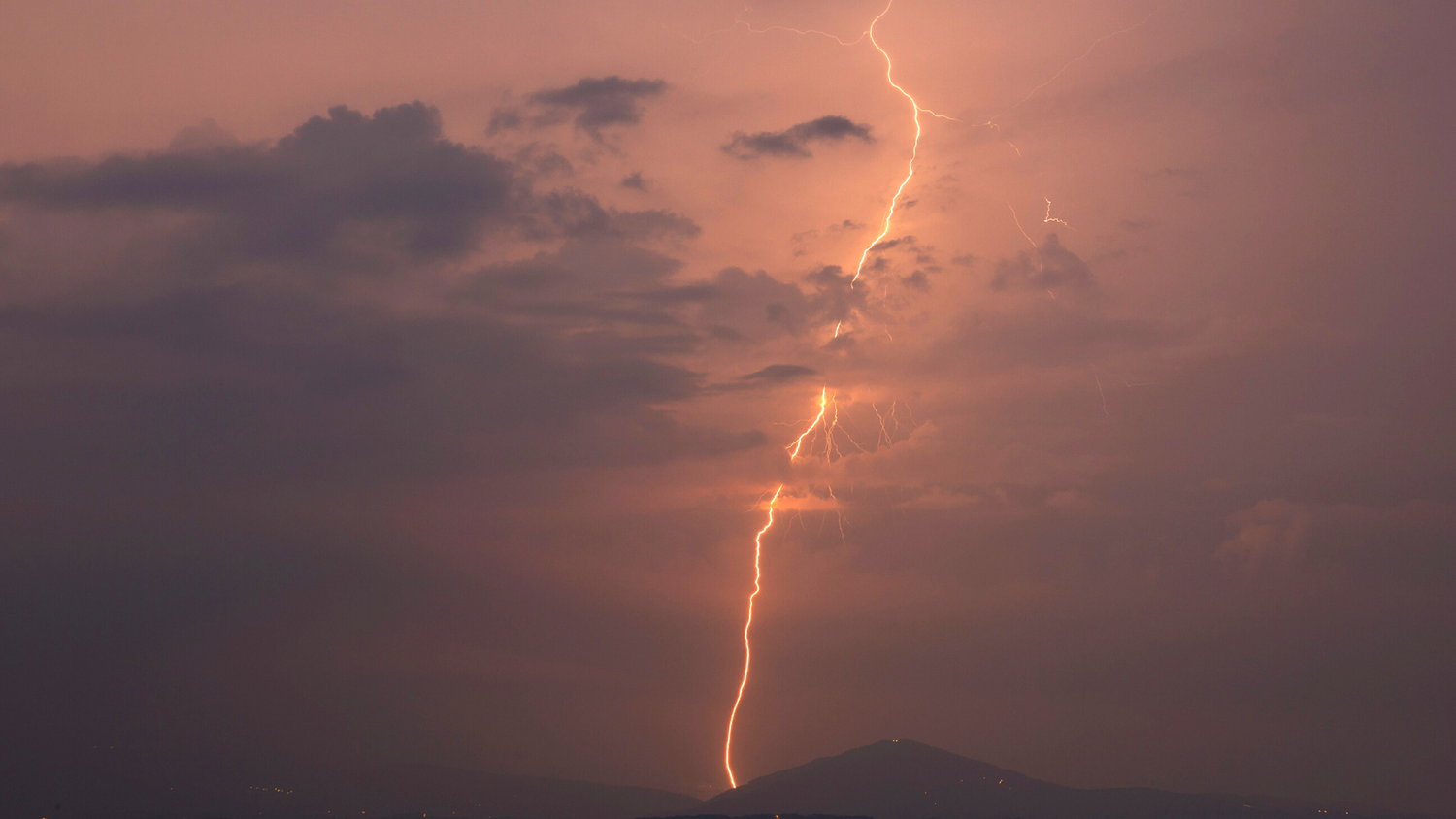 True Rife — Spirit of Health - Natural Health Online