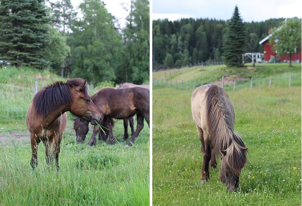 Overnatting på Losby Gods — Tenk Koffert