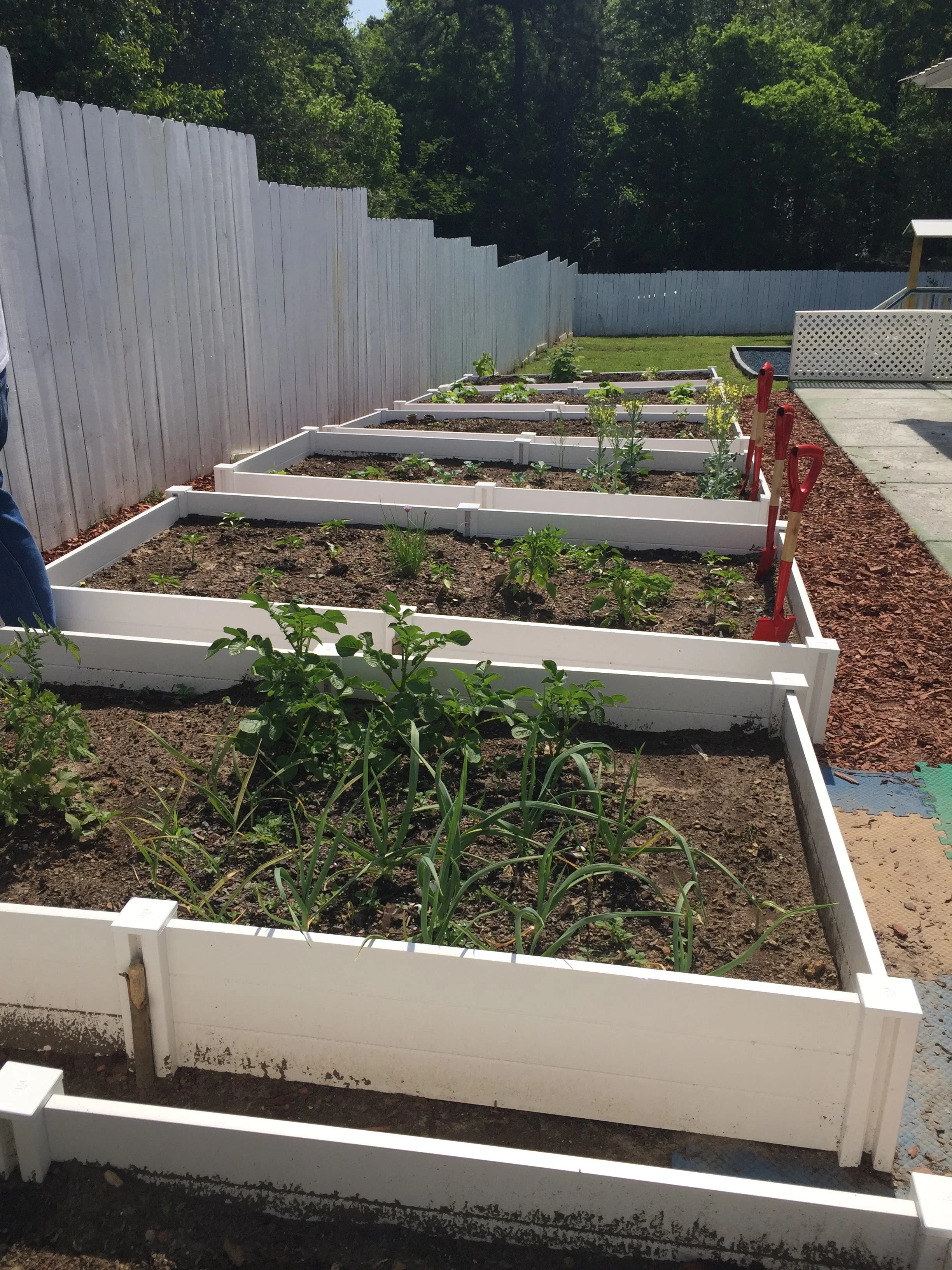 Farm to ECE — Quality Care for Children