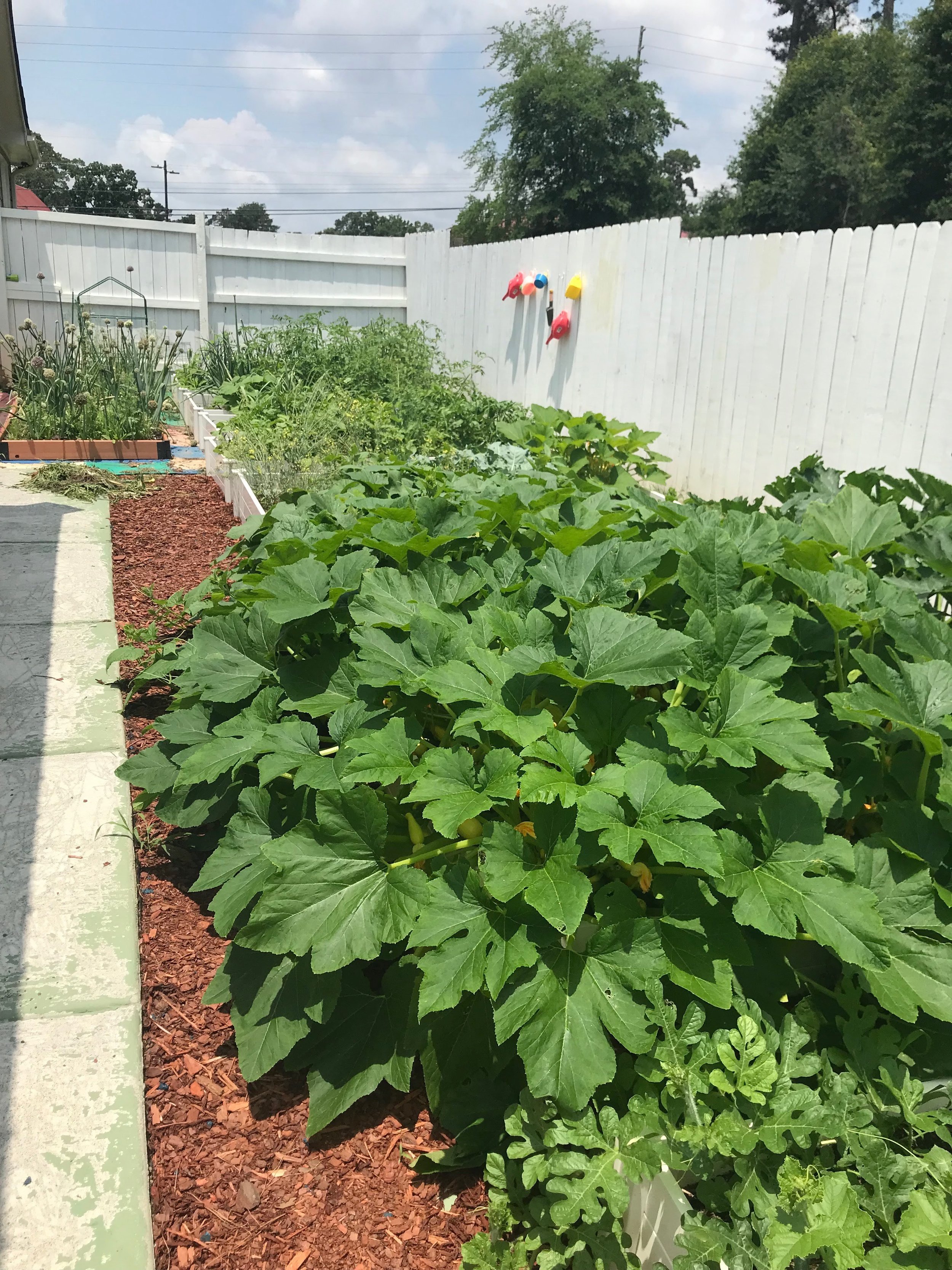 Farm to ECE — Quality Care for Children