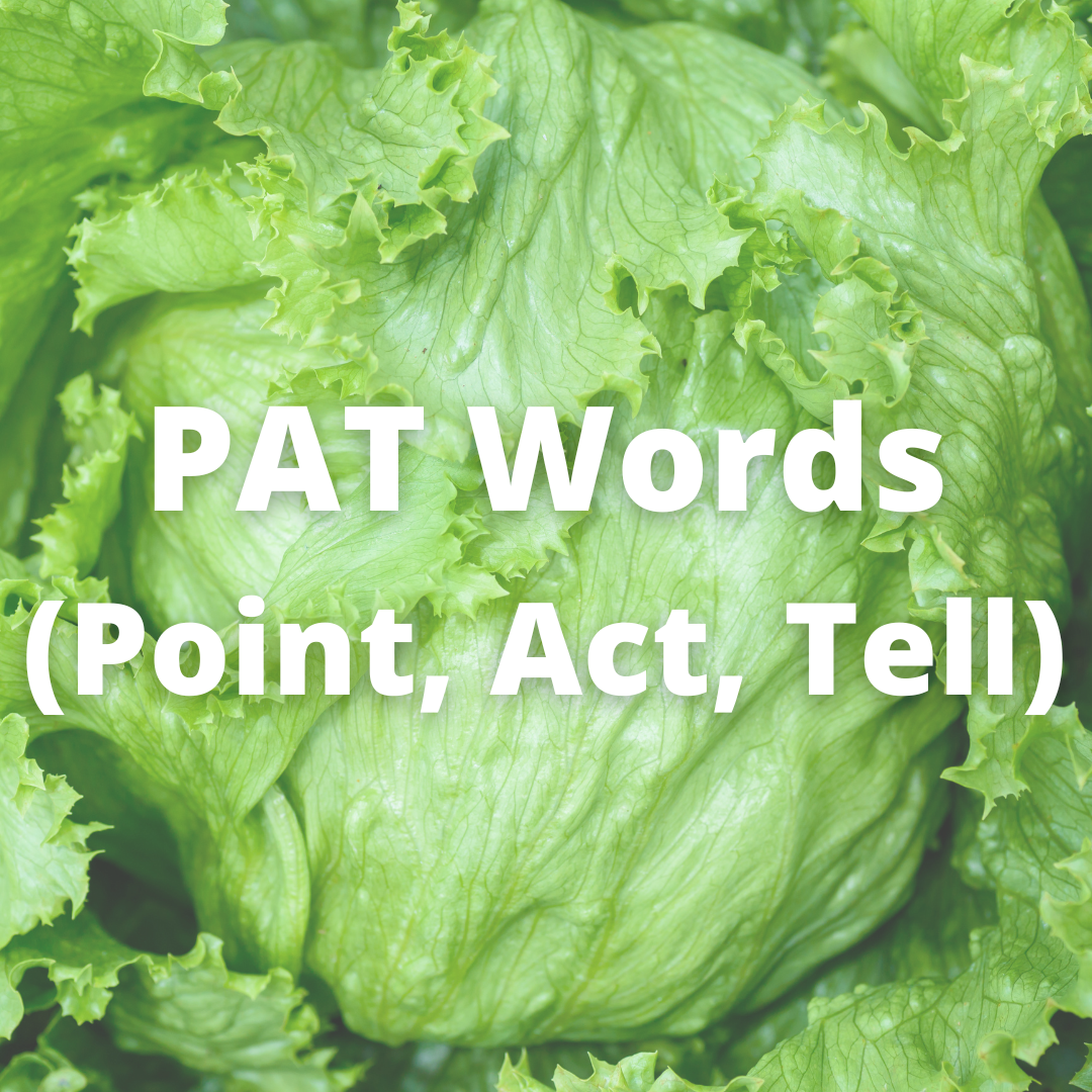 Healthy Kids — Quality Care for Children