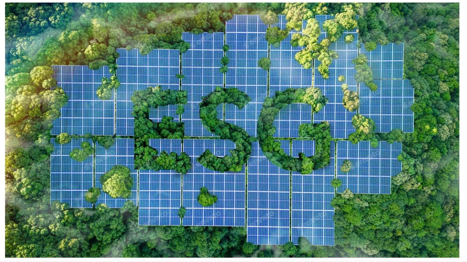 Debunking ESG Myths — Flashbulb*
