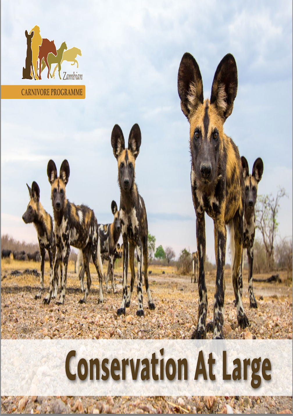 Annual Reports — Zambian Carnivore Program