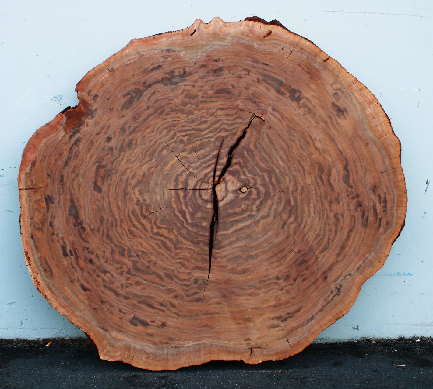 Rounds/ Crosscuts — Cali Hardwoods & Supplies