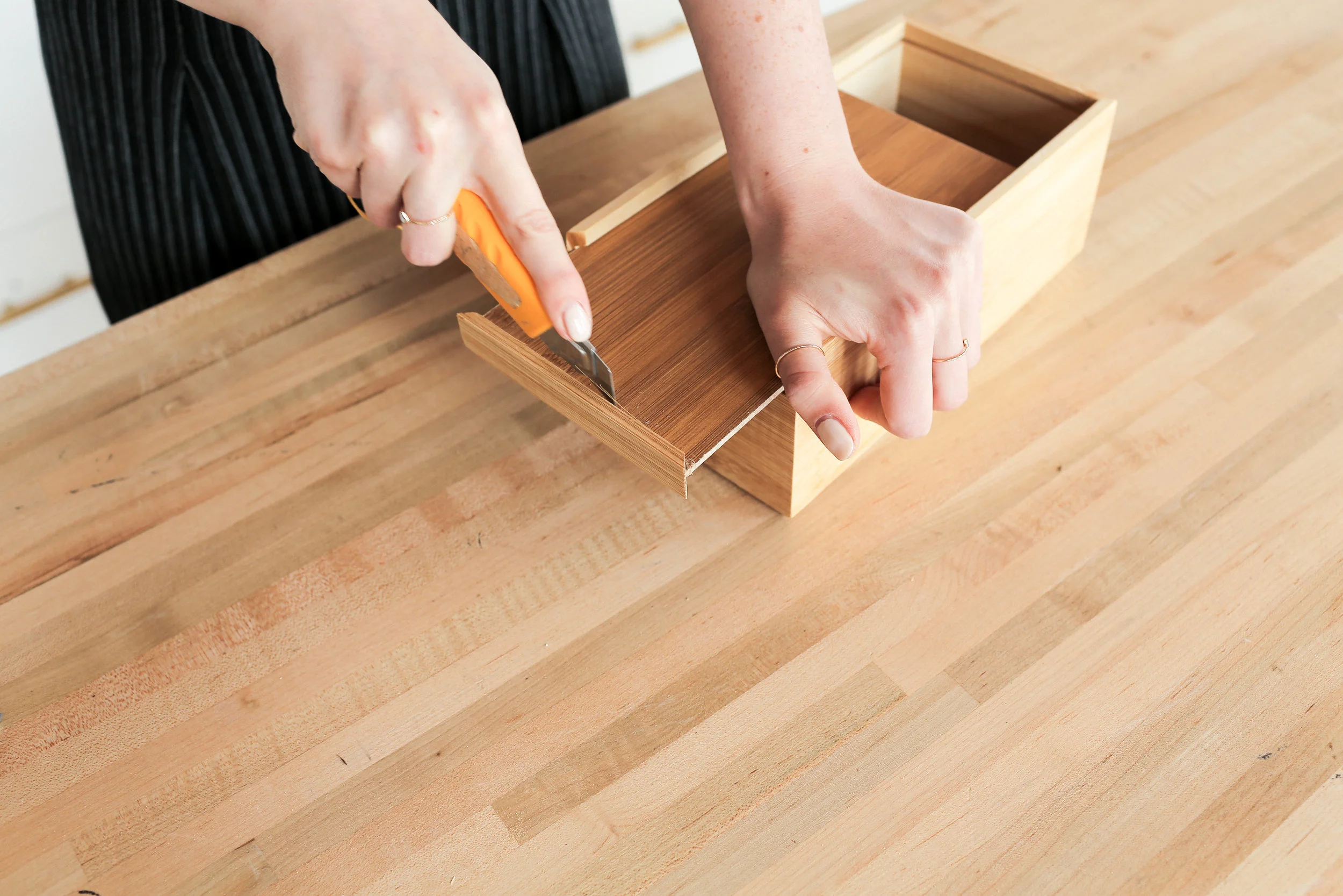 DOLLAR STORE ORGANIZATION — The Sorry Girls