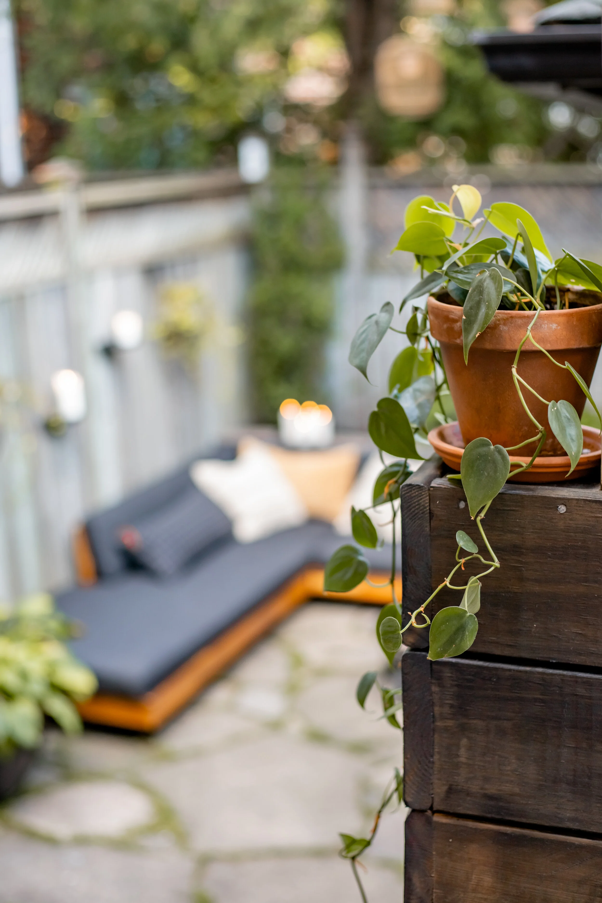 My Extreme Backyard Makeover — The Sorry Girls