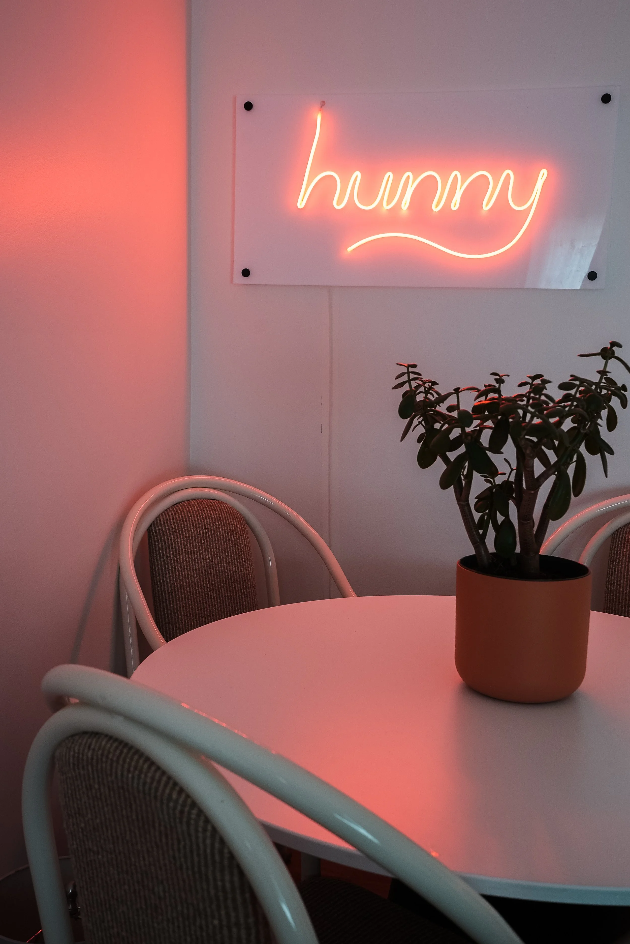 DIY Neon Sign — The Sorry Girls
