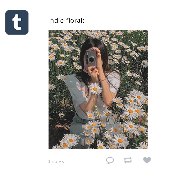 A Week Of Outfits Inspired By Old Tumblr. Trends — The Sorry Girls