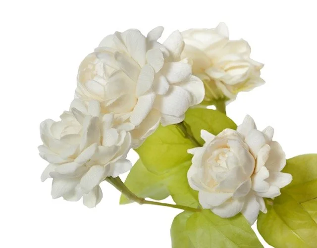 GIFT CERTIFICATES — FRENCHY'S