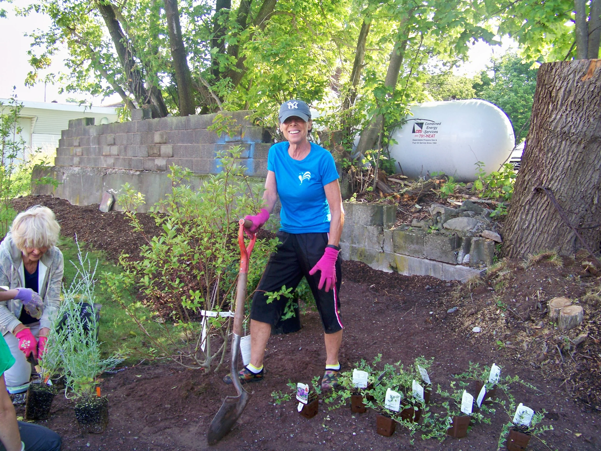 Vera B Williams Literary Landmark — Ethelbert B Crawford Public Library