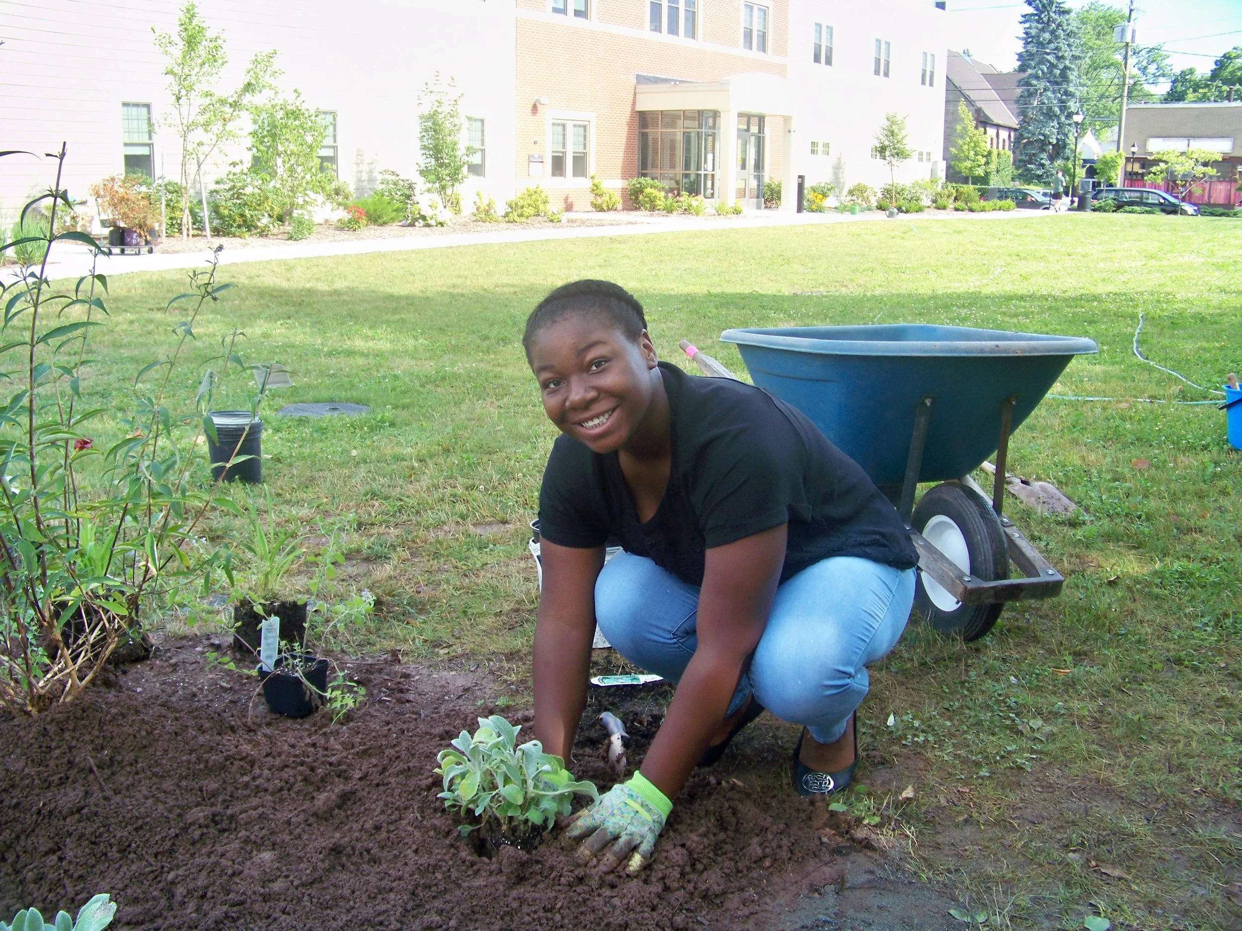 Vera B Williams Literary Landmark — Ethelbert B Crawford Public Library