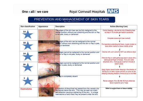 Skin Tear Classification