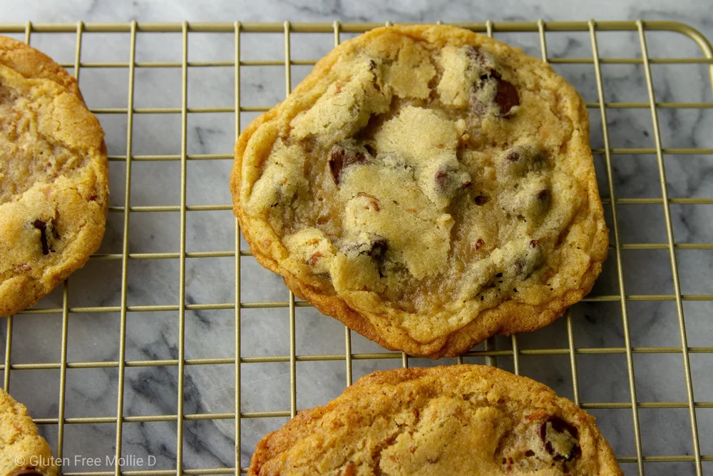 Gluten Free Mollie D-Mollie Bakes...-Mollie Bakes: Toasted Coconut Cookies