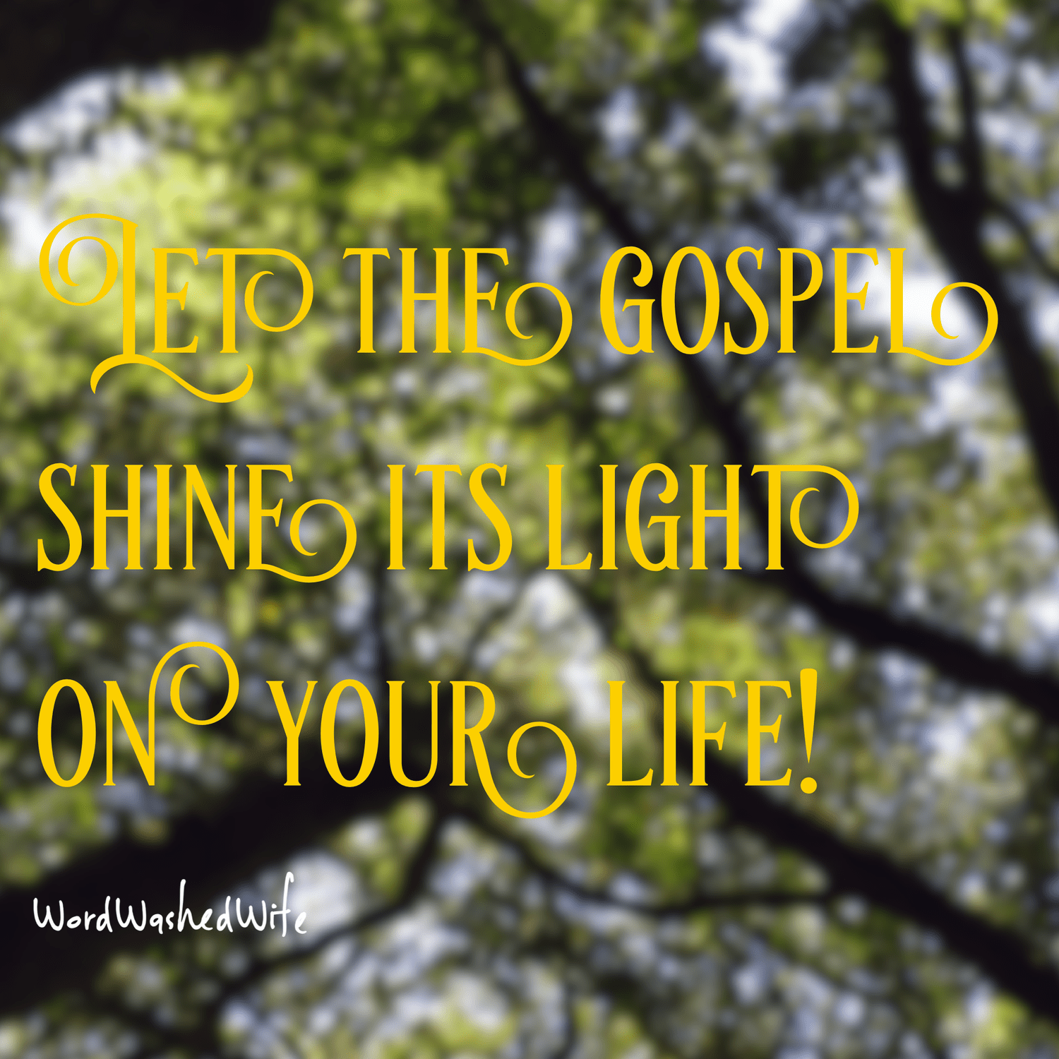 A little more... Holy Moly! — Word Washed Wife