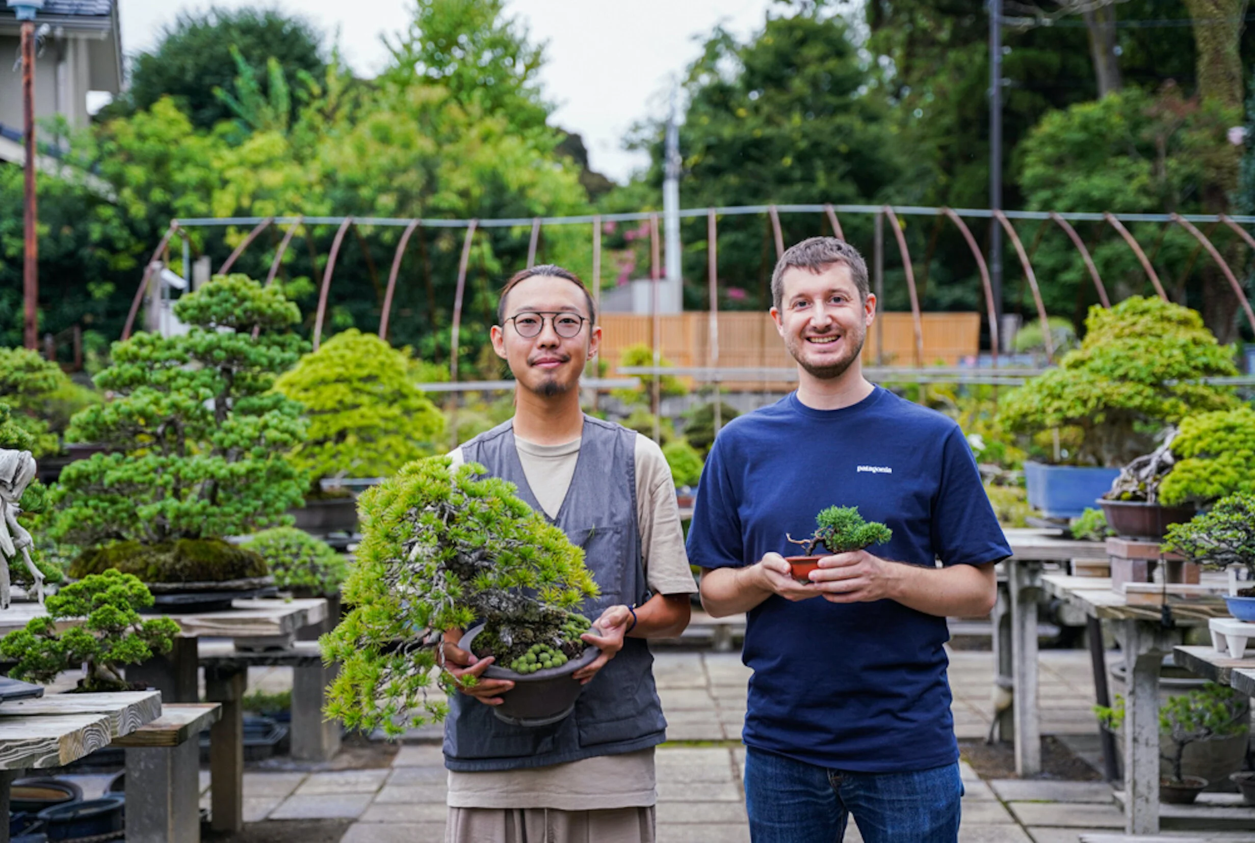 Bonsai Portal — Deeper Japan