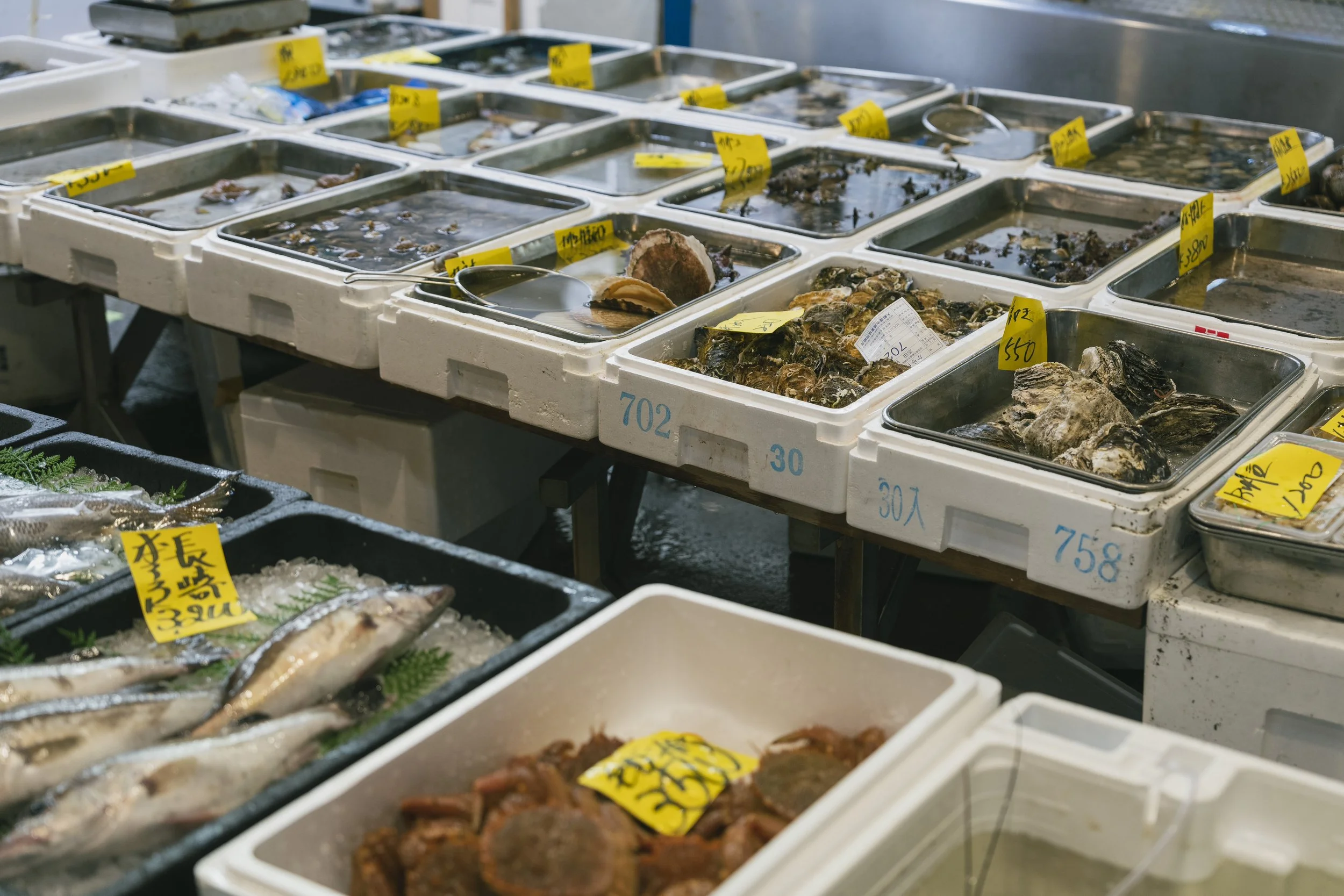 Tokyo Area Cultural Experiences — Deeper Japan