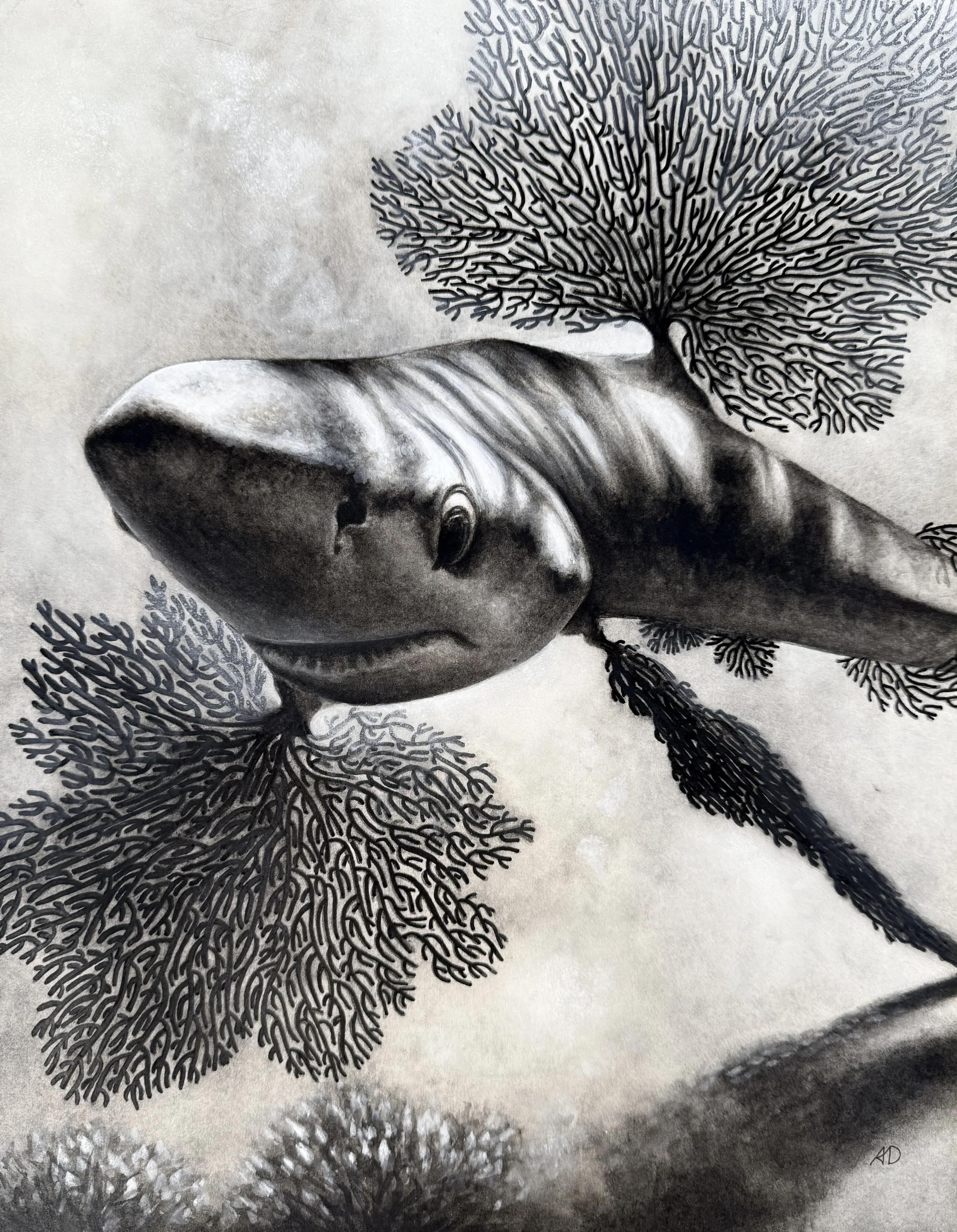 Originals — A Million Tiny Lines