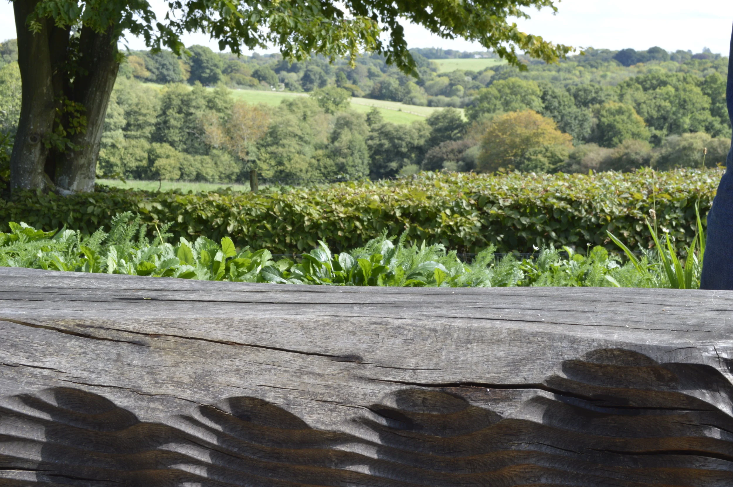 Garden Design Inspiration — Bo Cook Landscape & Garden Design