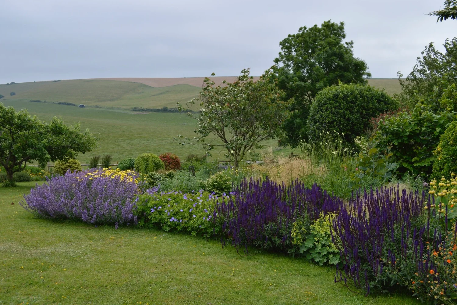 Naturalistic Garden Design — Bo Cook Landscape & Garden Design