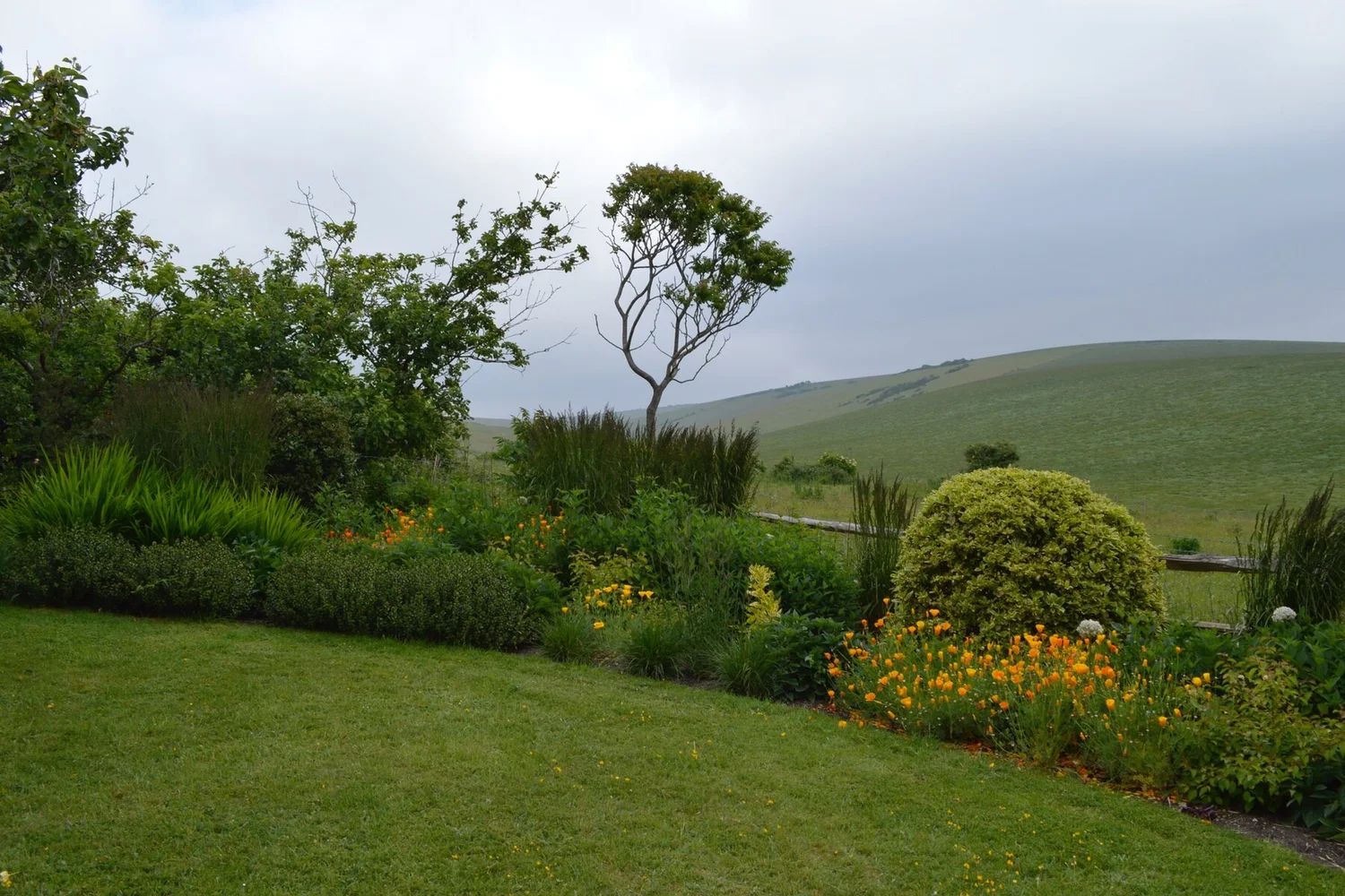 Naturalistic Garden Design — Bo Cook Landscape & Garden Design