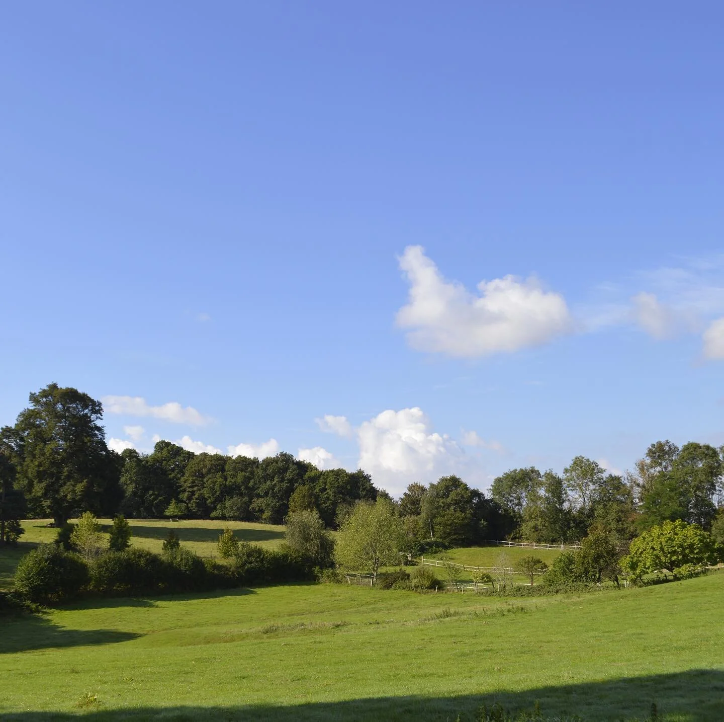 Bo Cook Landscape & Garden Design