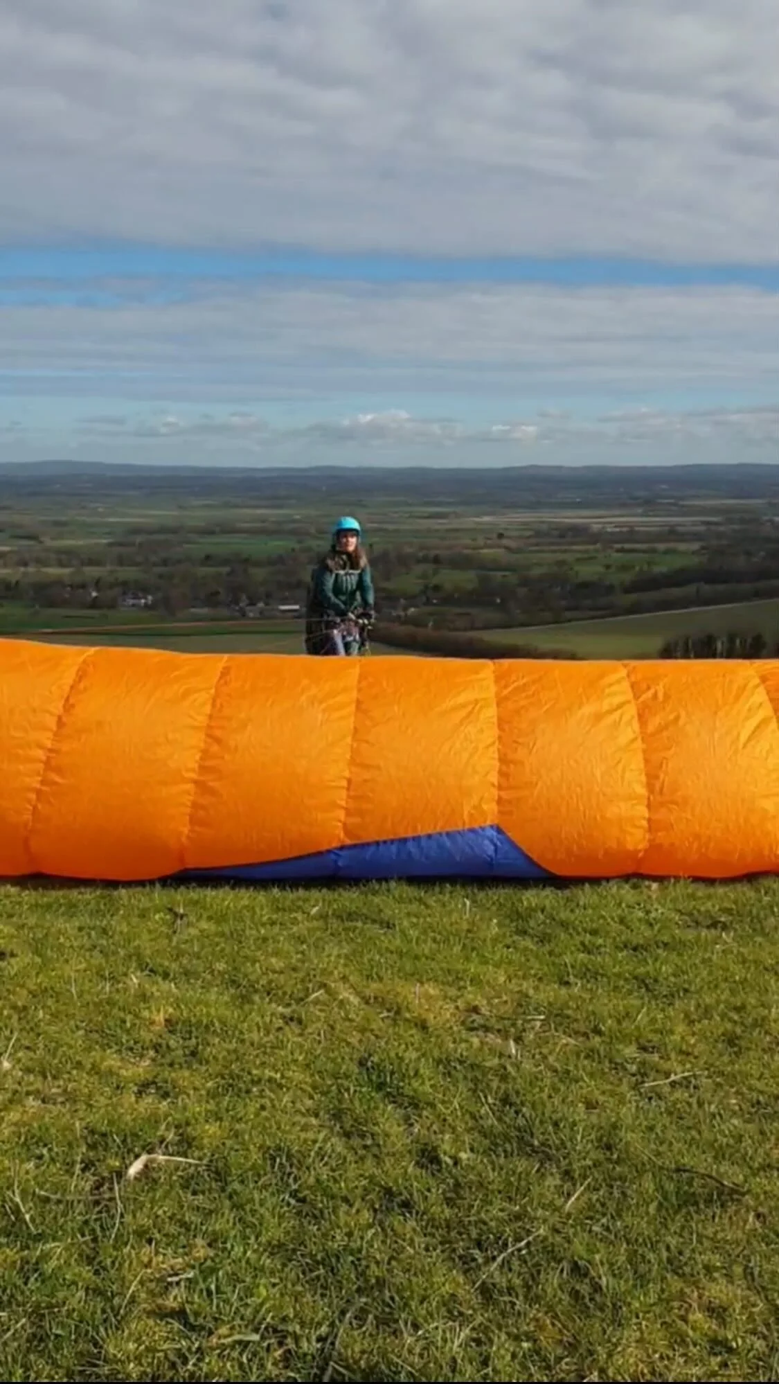 The Client Brief — Bo Cook Landscape & Garden Design