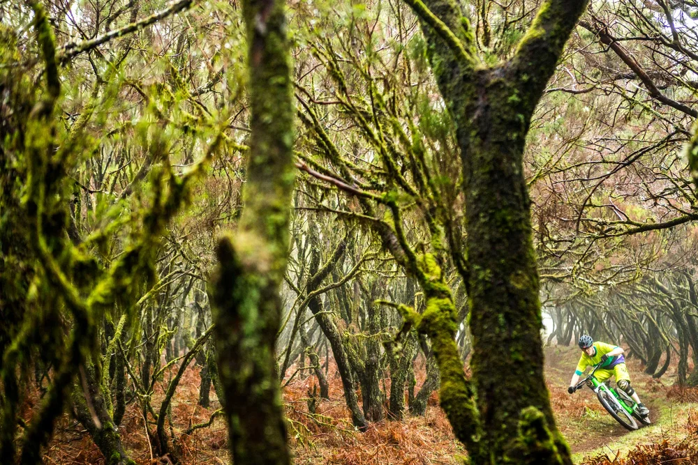 Vecnum — Vecnum GmbH