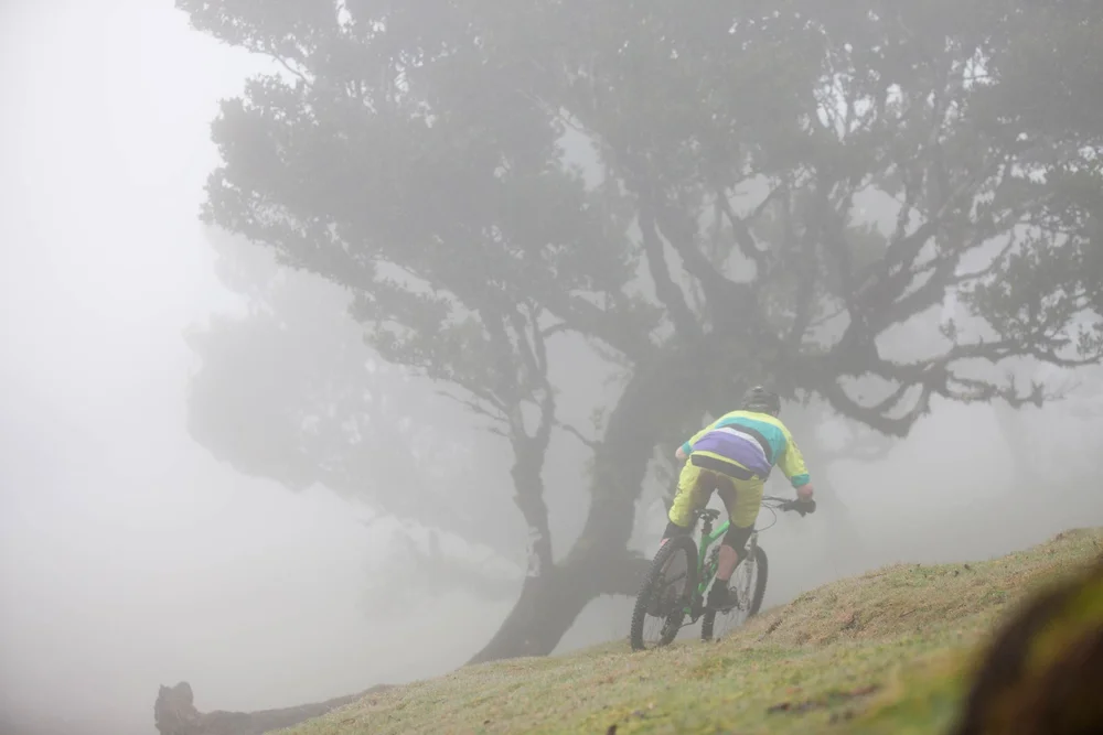 Vecnum — Vecnum GmbH