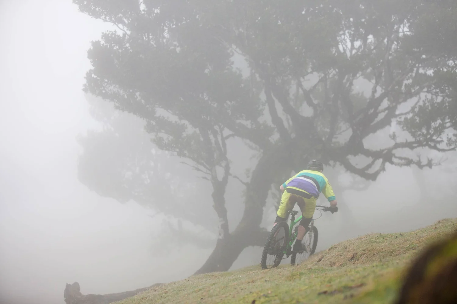 Vecnum — Vecnum GmbH