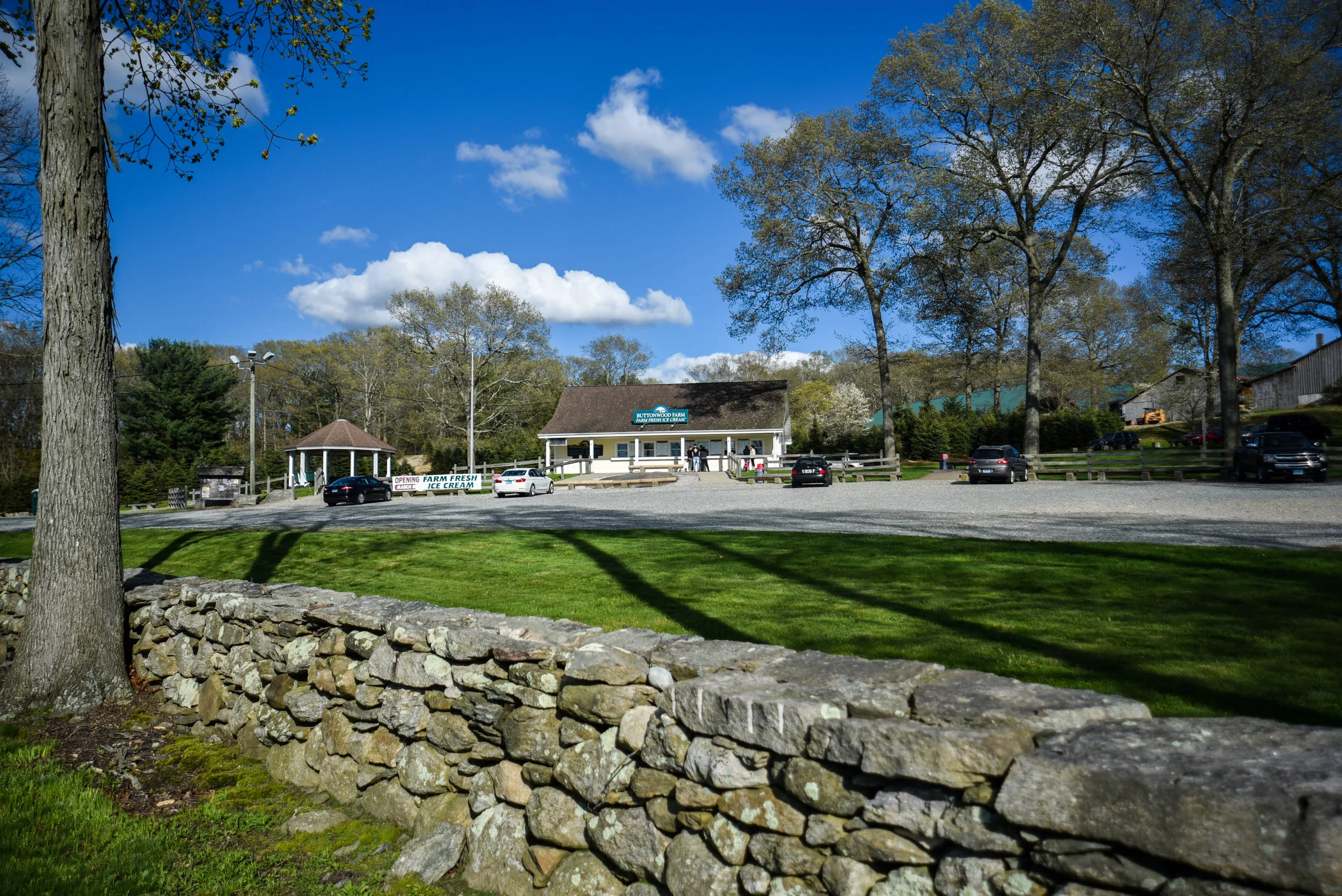 Our Story — Buttonwood Farm