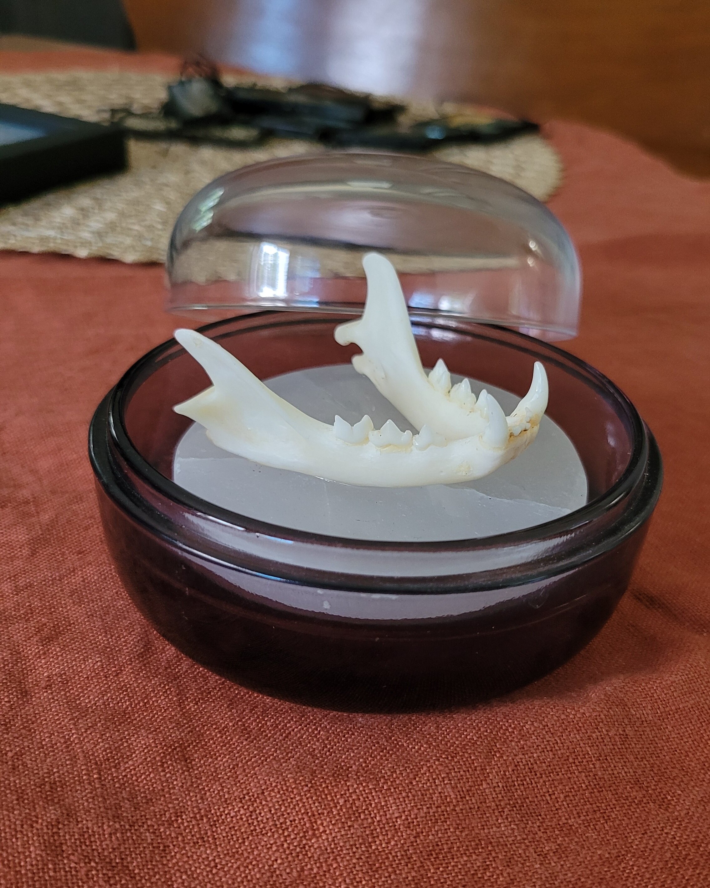 Home Decor — Primal Adornments