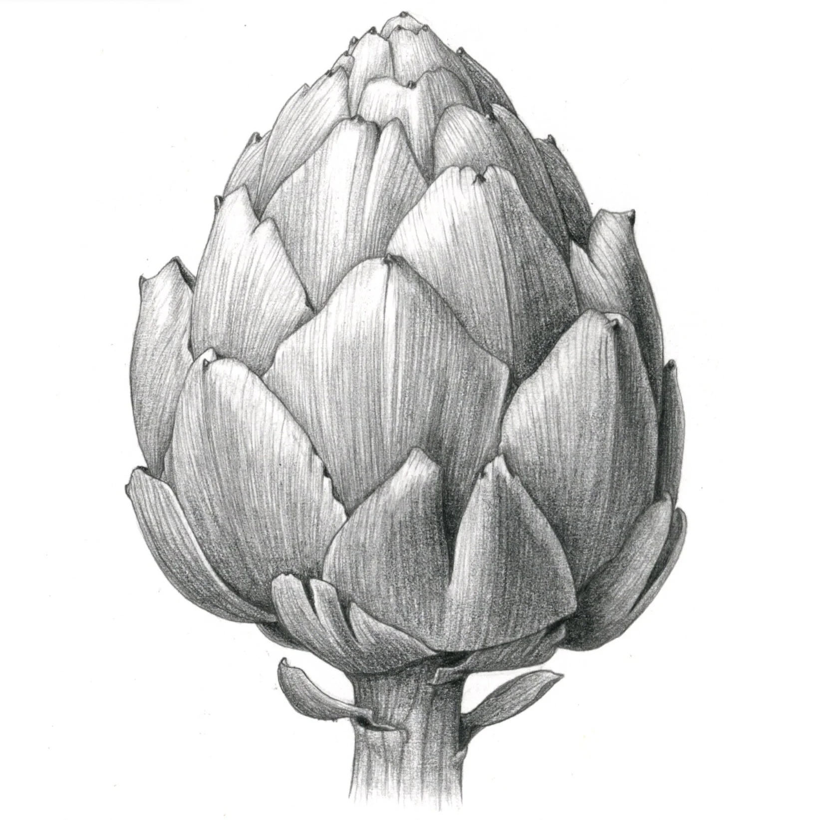 classes — ALEX BOERSMA