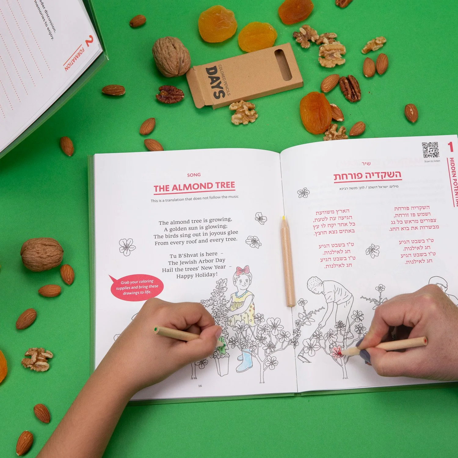 Days — Tu B'Shvat Seder Guide